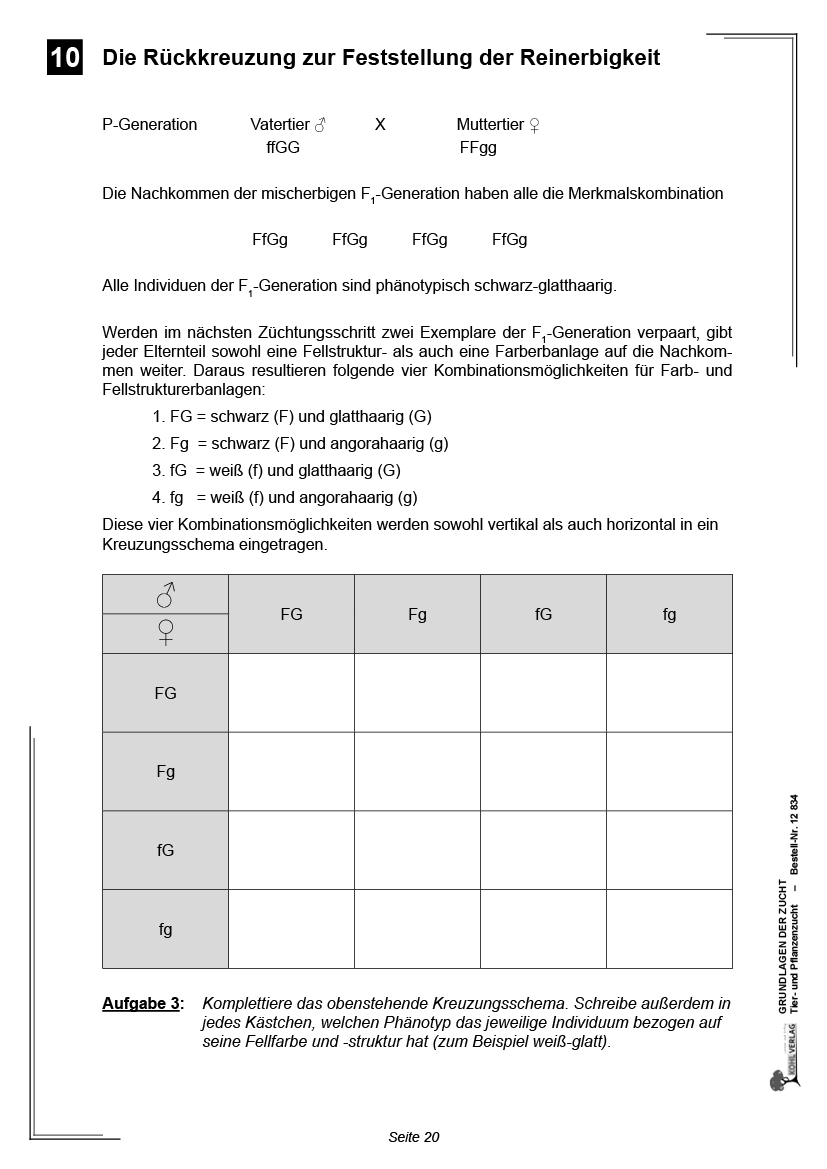 Grundlagen der Zucht