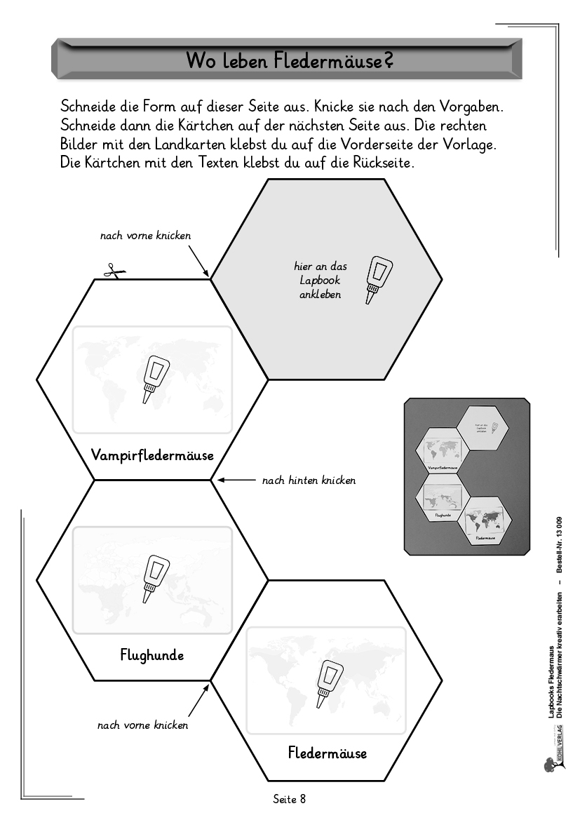 Lapbook Fledermaus