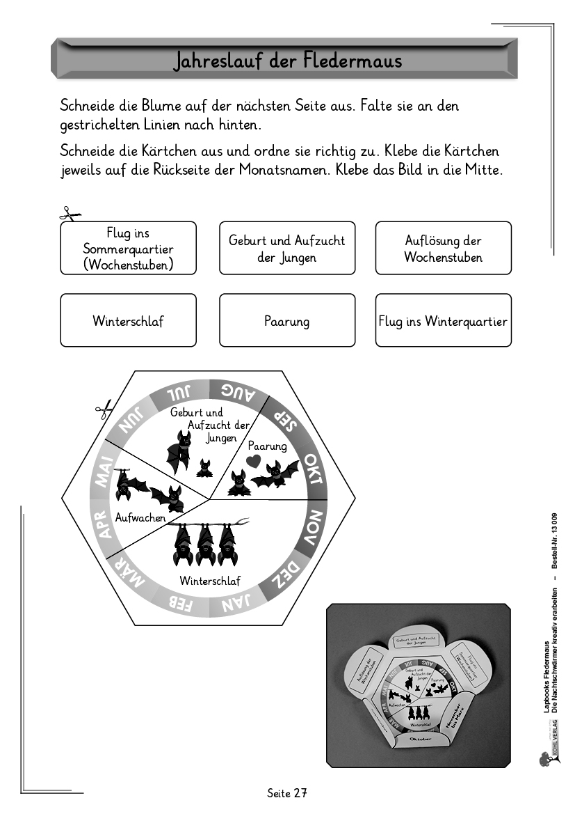 Lapbook Fledermaus