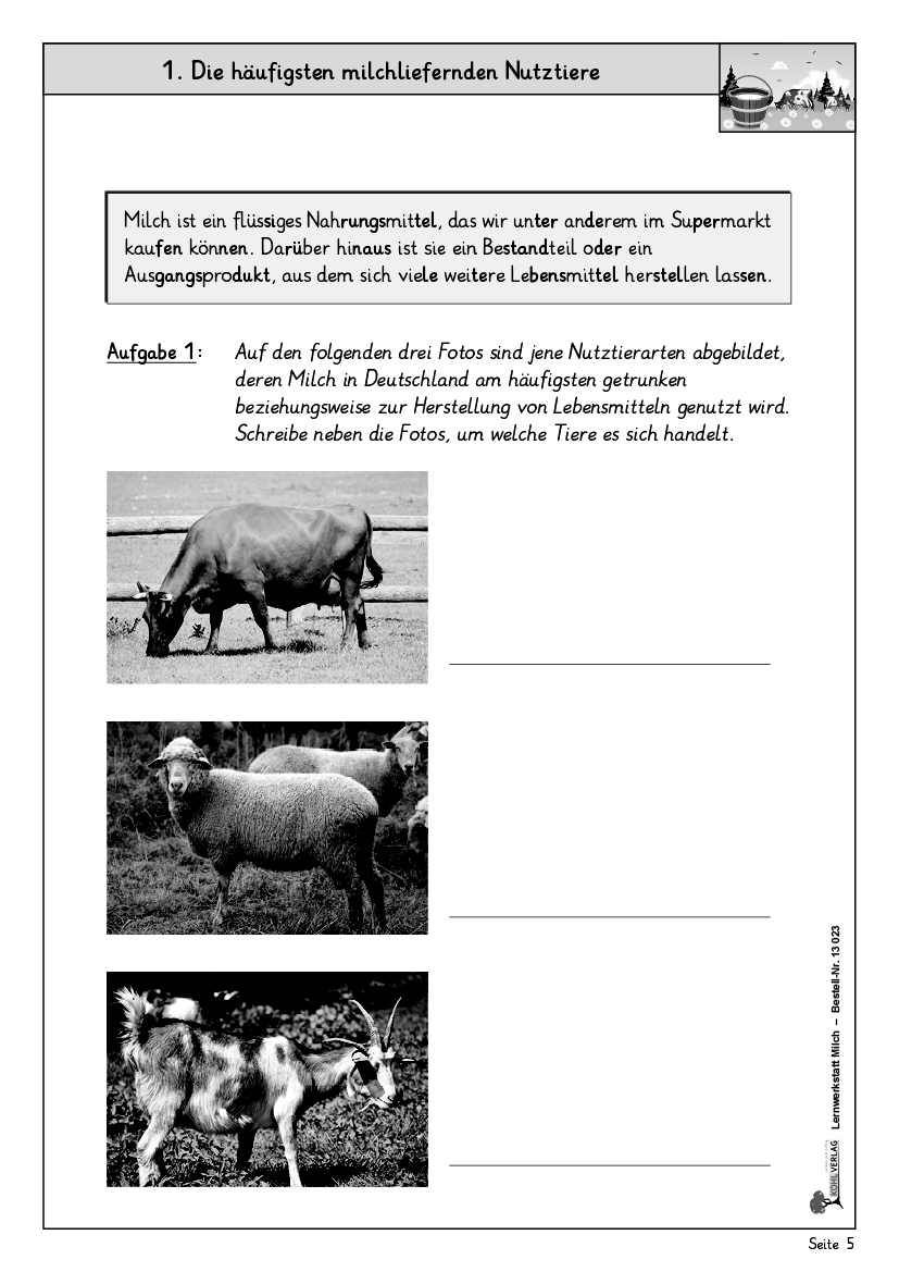 Lernwerkstatt Die Milch