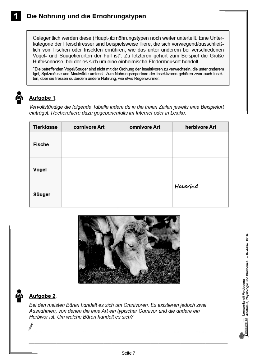 Lernwerkstatt Verdauung