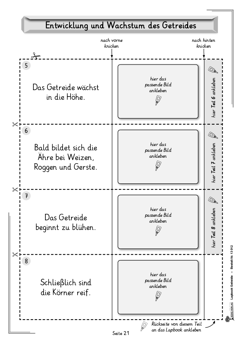 Lapbook Getreide