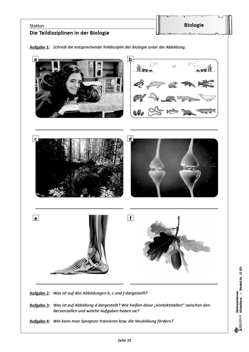 Stationenlernen Wirbeltiere