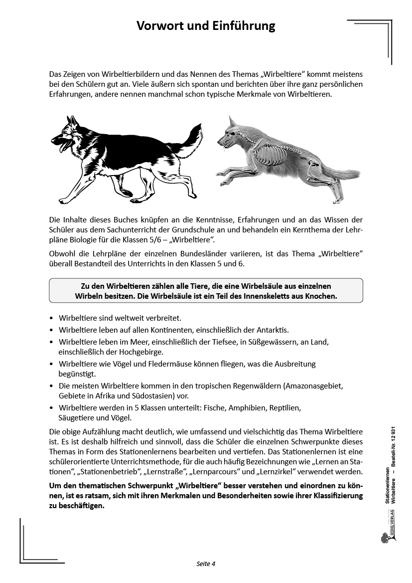 Stationenlernen Wirbeltiere