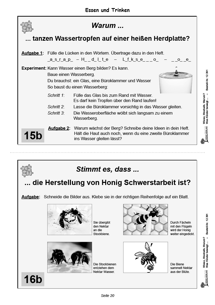 Wieso? ... und warum? - Was Kinder bewegt ...