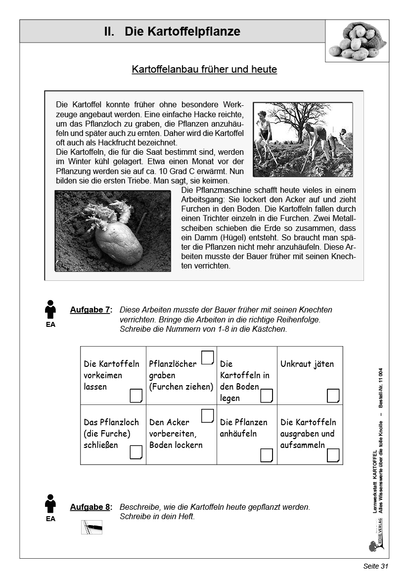 Lernwerkstatt Kartoffel