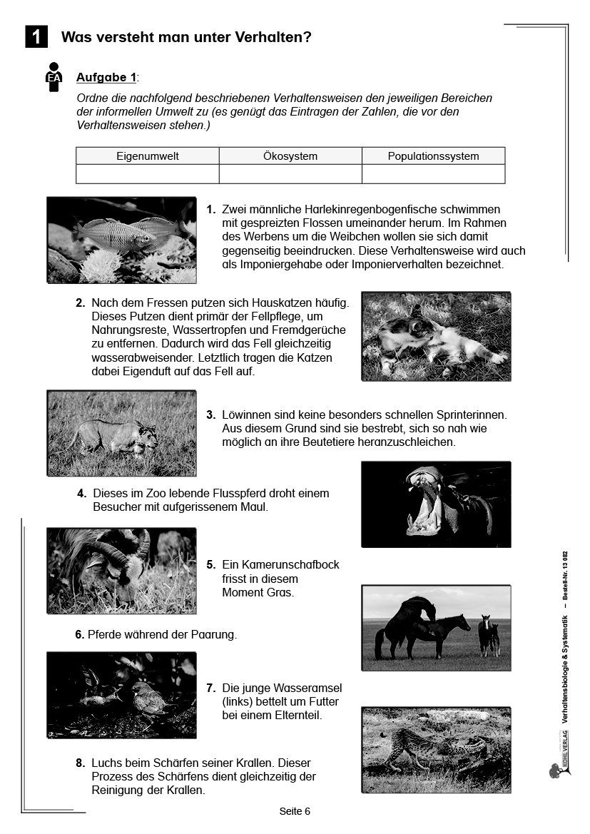 Verhaltensbiologie & Systematik