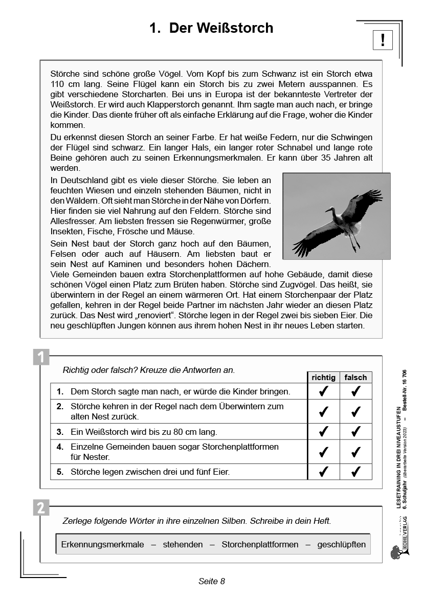 Lesetraining in drei Niveaustufen / Klasse 6