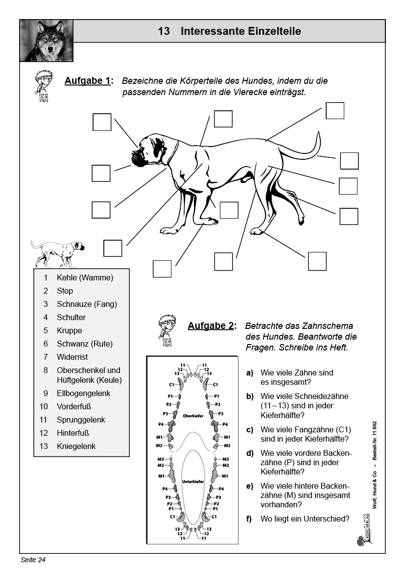 Lernwerkstatt Wolf, Hund & Co
