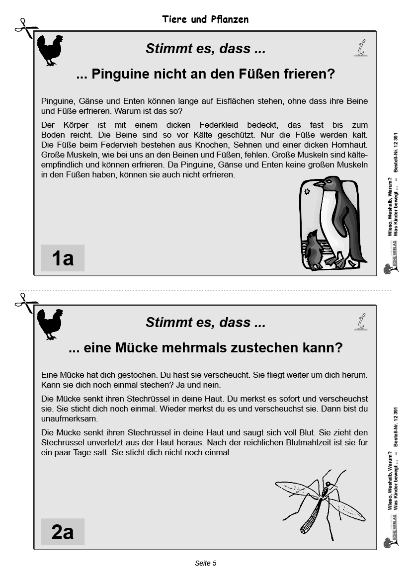 Wieso? ... und warum? - Was Kinder bewegt ...