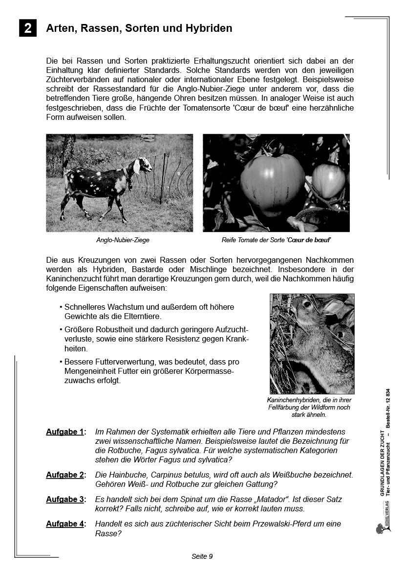Grundlagen der Zucht