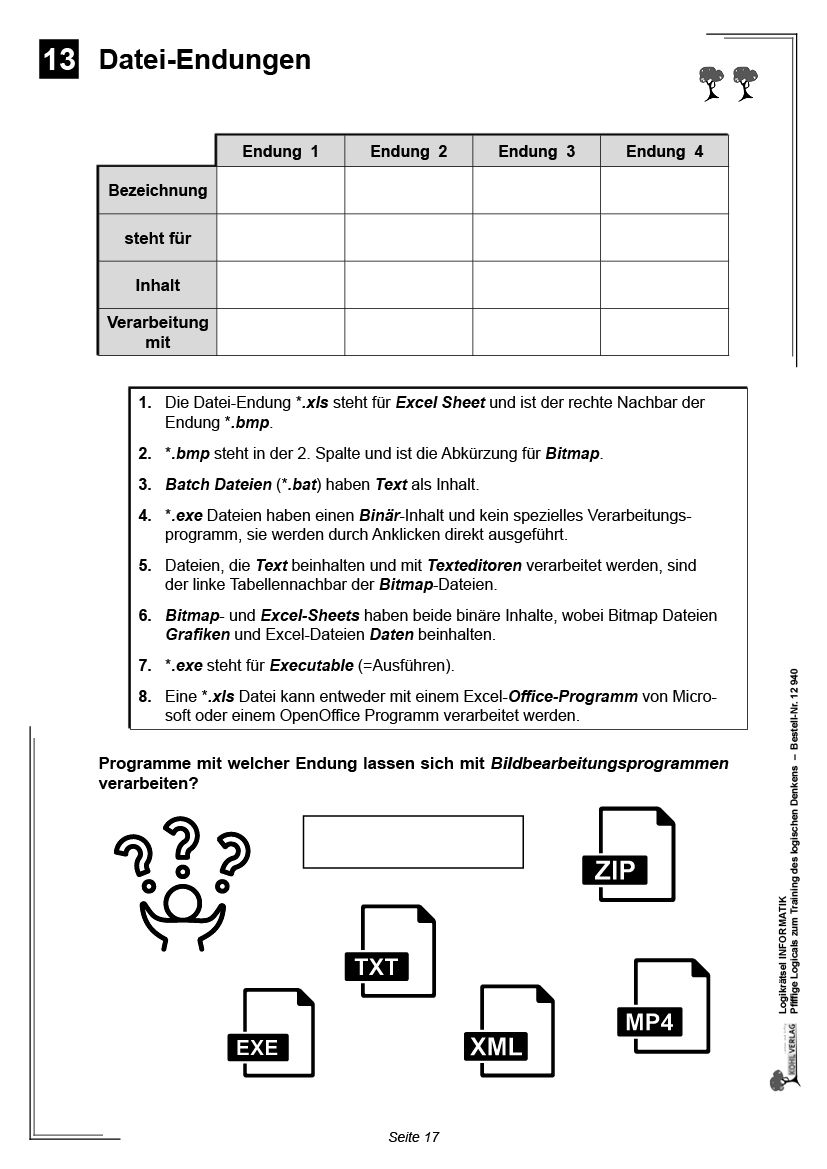 Logikrätsel INFORMATIK
