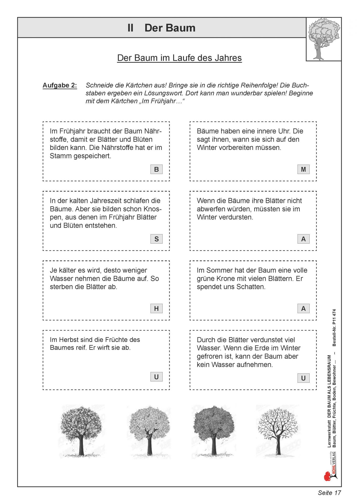 Arbeitsblätter zum Thema: Der Baum