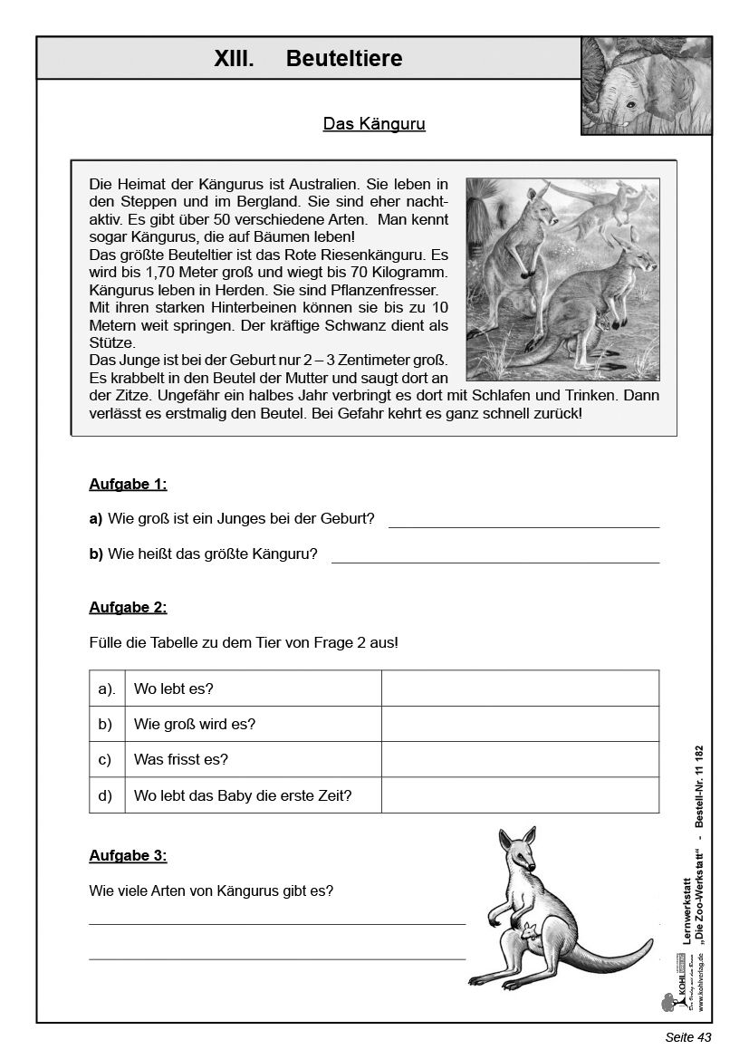 Lernwerkstatt Tiere im Zoo - Heimat und Lebensweise zahlreicher Tiere