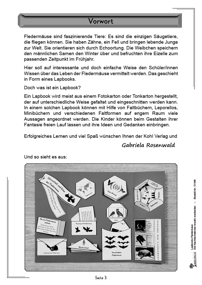 Lapbook Fledermaus