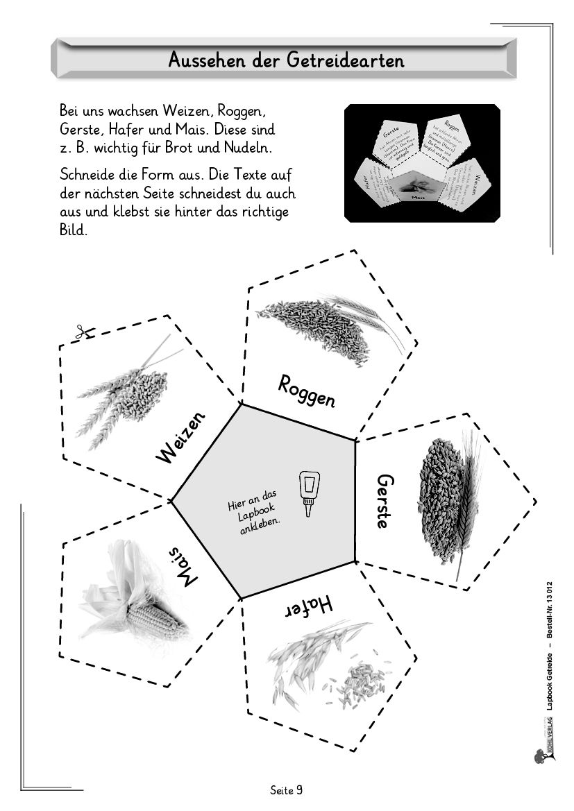 Lapbook Getreide